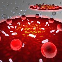 News – Soft Active Matter Lab