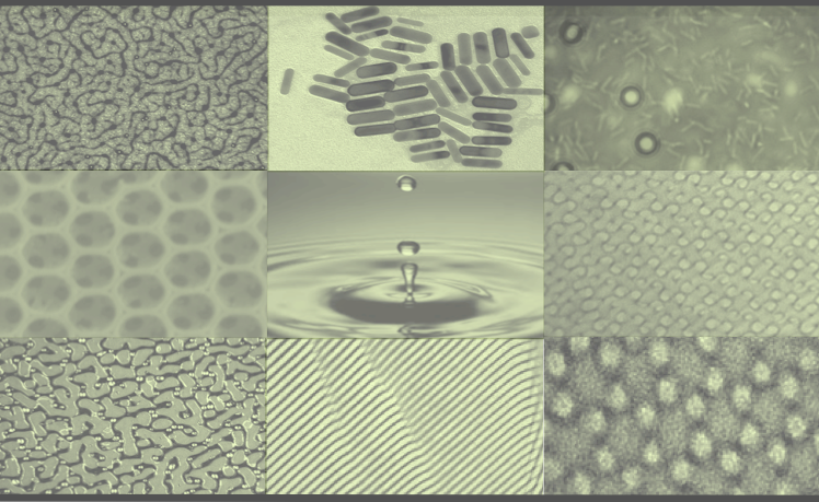 2nd Meeting of the Soft Materials Network – Soft Active Matter Lab