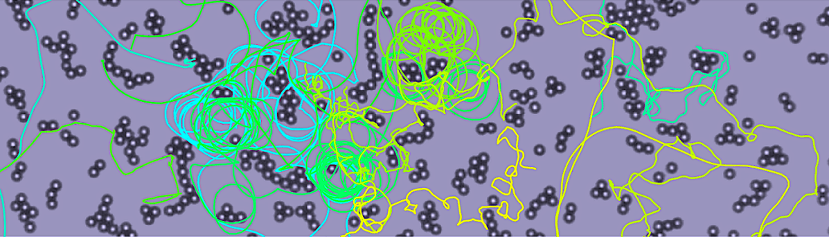 New Article in Soft Matter – Soft Active Matter Lab