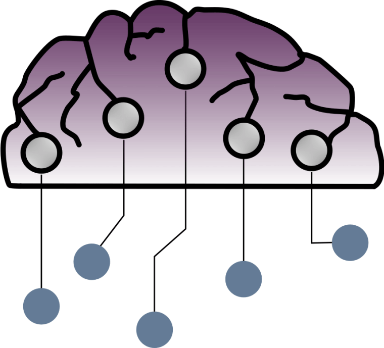 Publications – Soft Active Matter Lab
