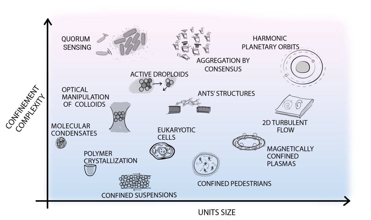New perspective on steering self-organisation through confinement – Soft Active Matter Lab