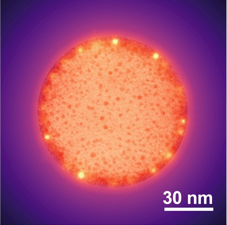 Publications – Soft Active Matter Lab