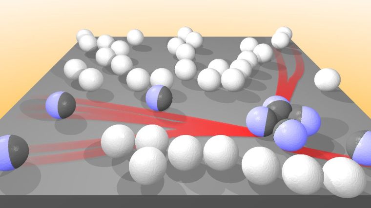 Soft Active Matter Lab