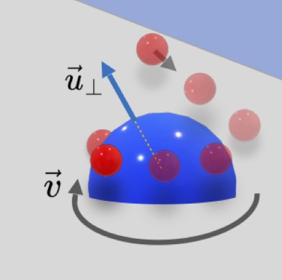 Soft Active Matter Lab
